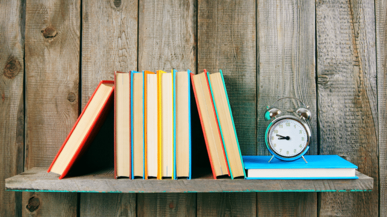 Icebreaker Book by Hannah Grace: A Comprehensive Book Review