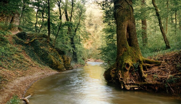 The River We Remember: Novel Summary and Honest Review ...